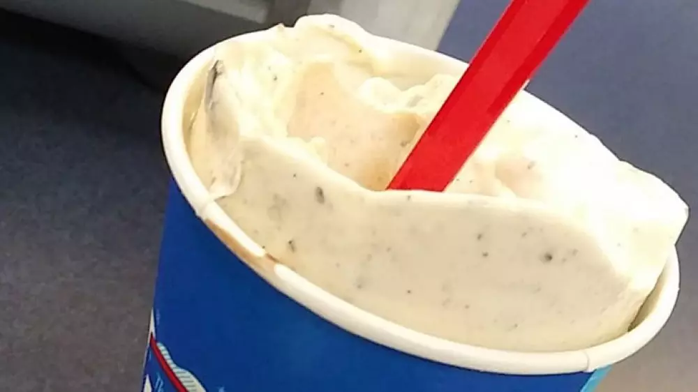 Schildkröte Pecan Cluster Blizzard