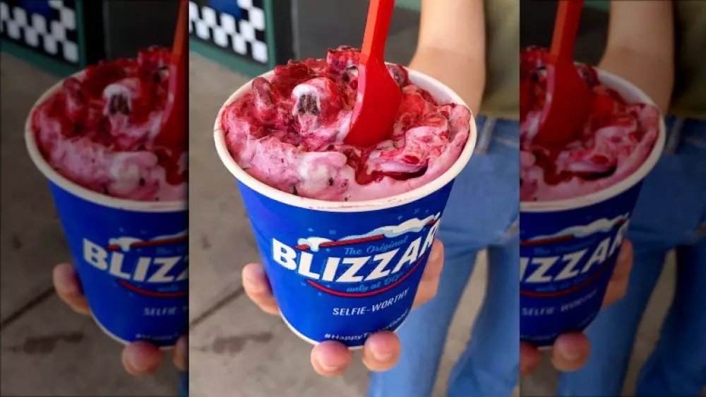 Himbeer Fudge Bliss Blizzard