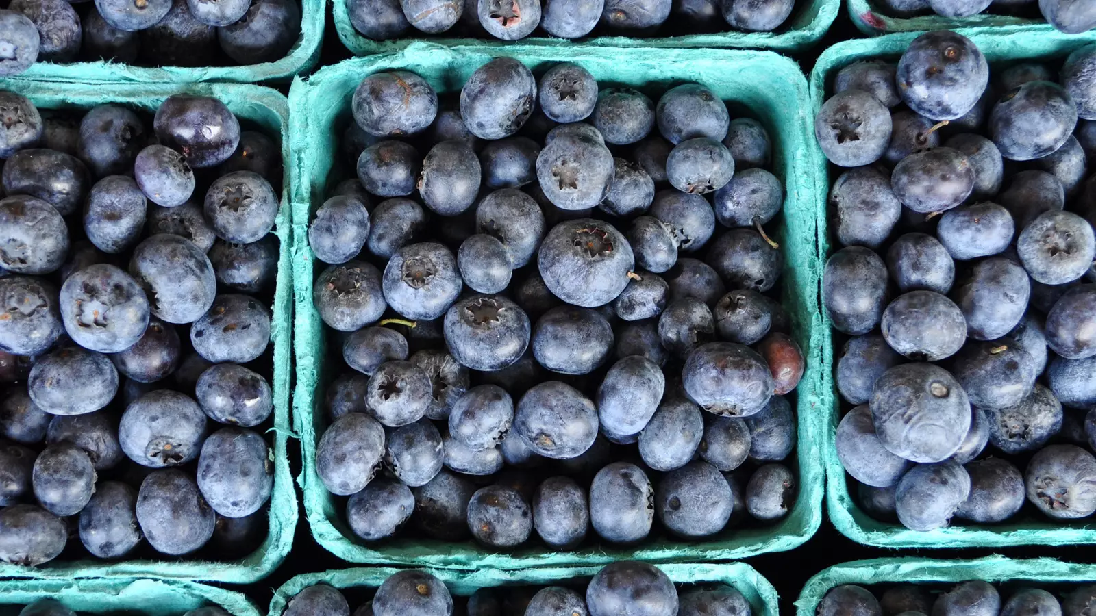 Kila kitu unachohitaji kujua kuhusu Blueberries