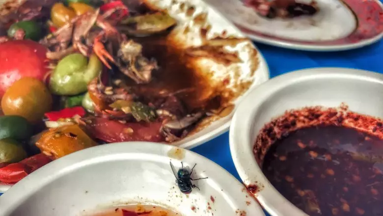 volar sobre la comida