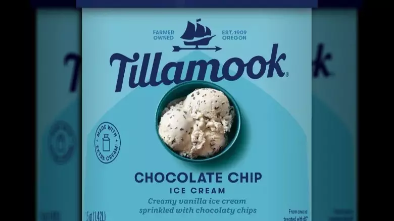 tillamook šokolaaditükkidega jäätis