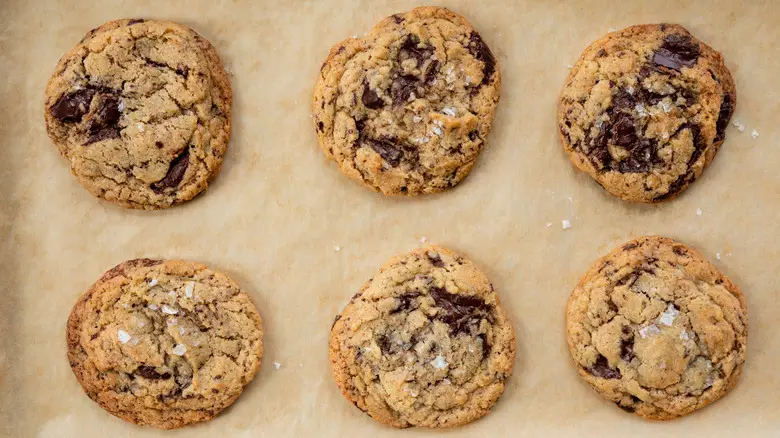 biscoitos de chocolate assados