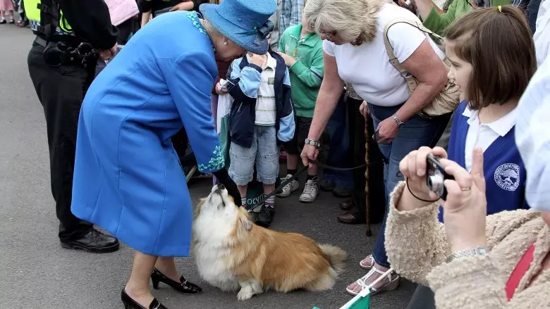 kráľovná a corgi