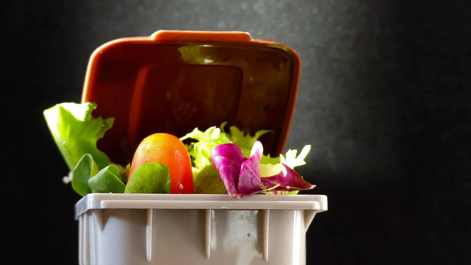 15 consigli per aiutare a ridurre gli sprechi alimentari