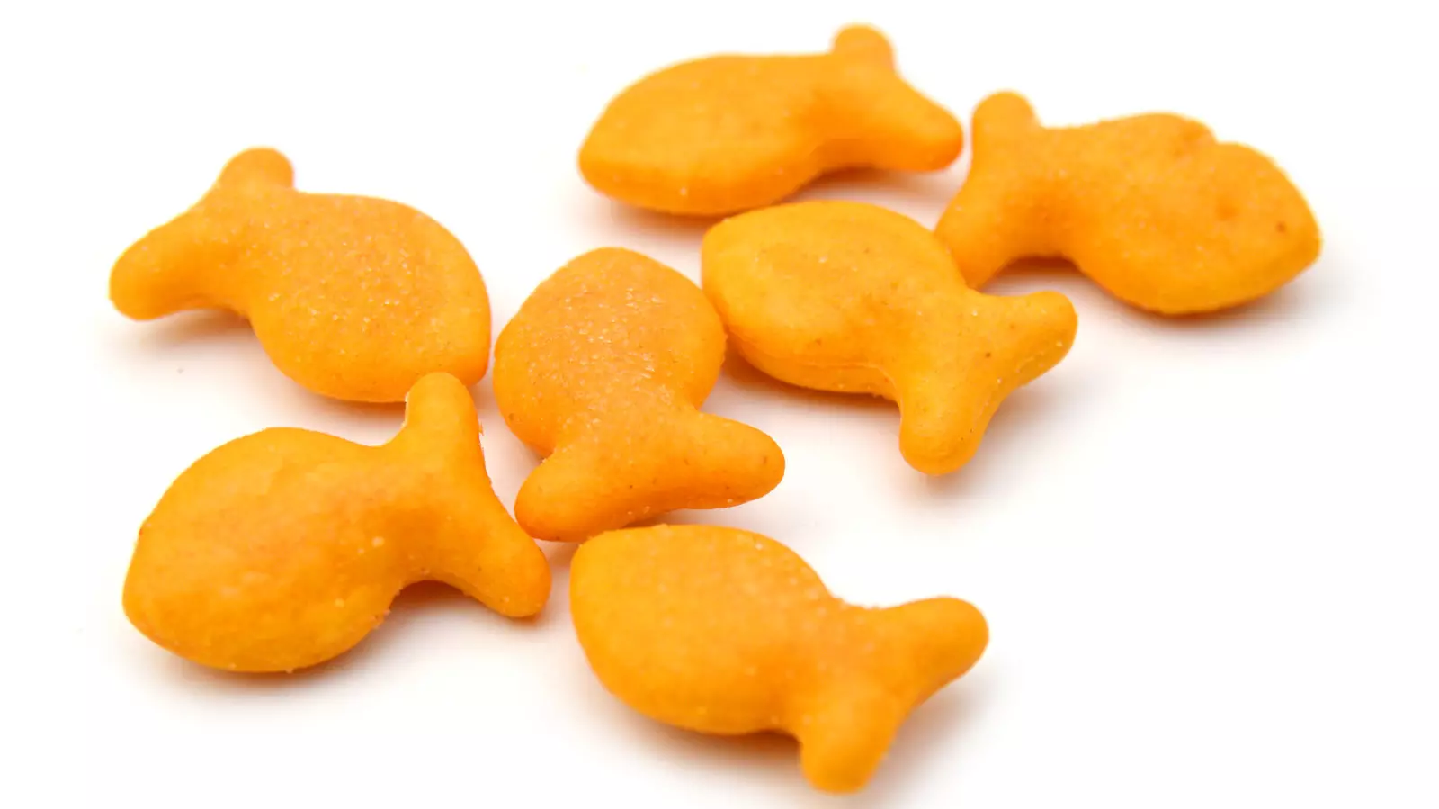 عشاق حرب النجوم يحبون أحدث أشكال السمكة الذهبية