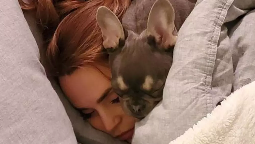 Rosanna Pansino tidur dengan anak anjing