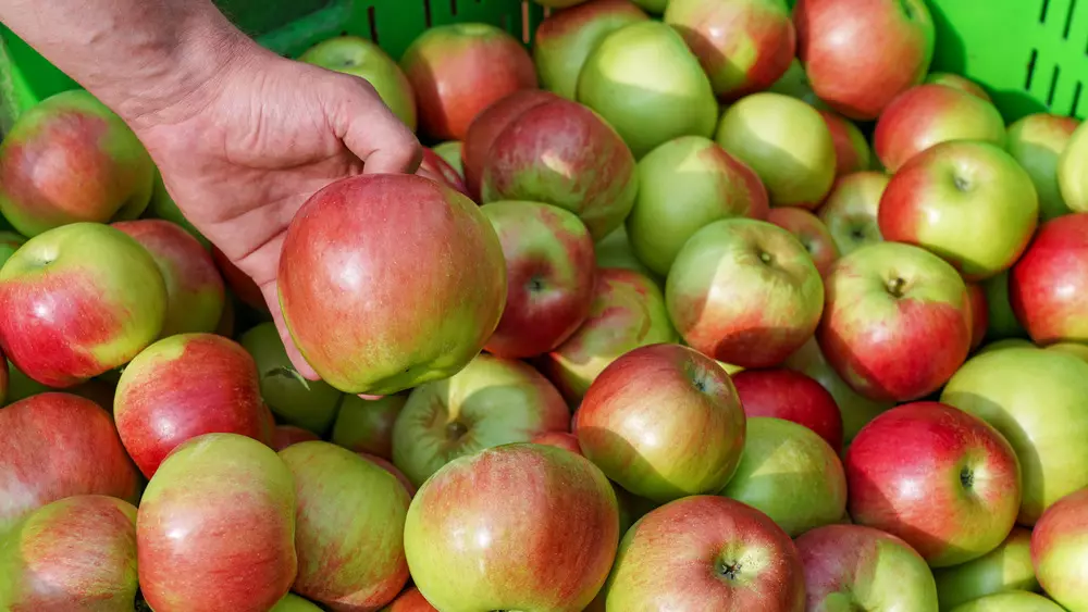 Mano recogiendo una manzana