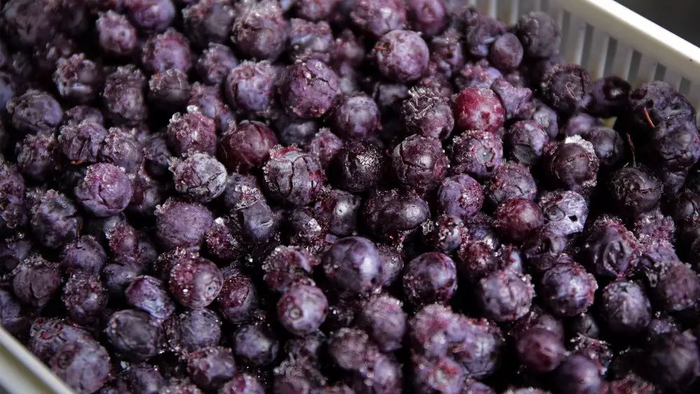 pundok sa mga frozen nga blueberries