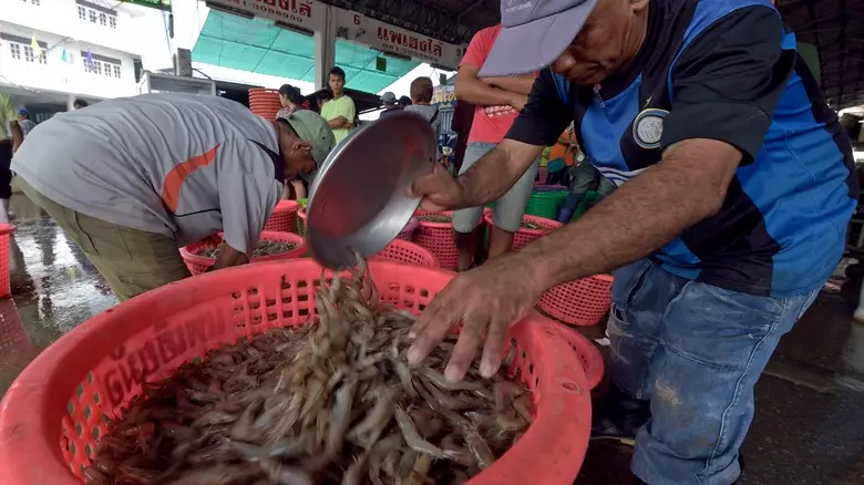 Thailand shrimp ukulima