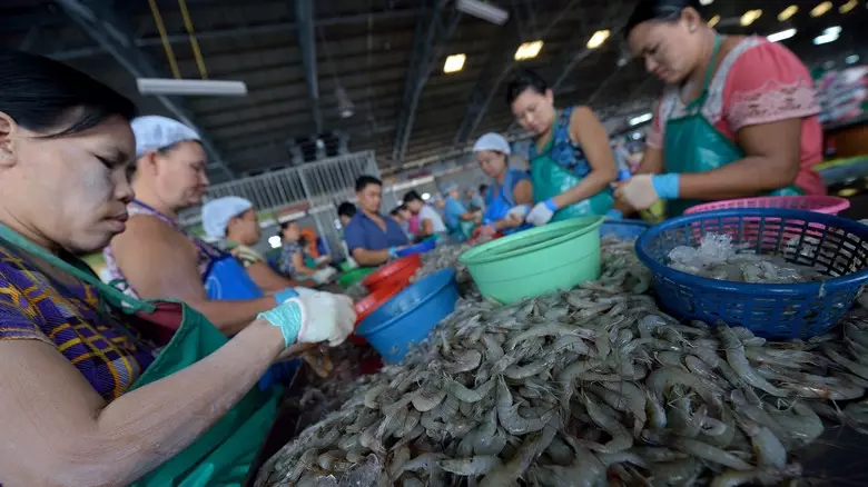 Pag-uma sa hipon sa Thailand