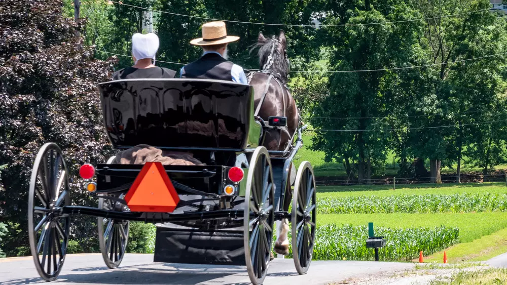 Amish-familie i buggy på vejen