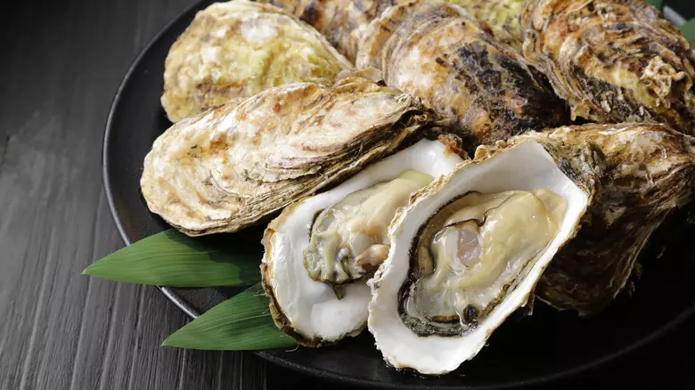 Plack vun Matière oysters