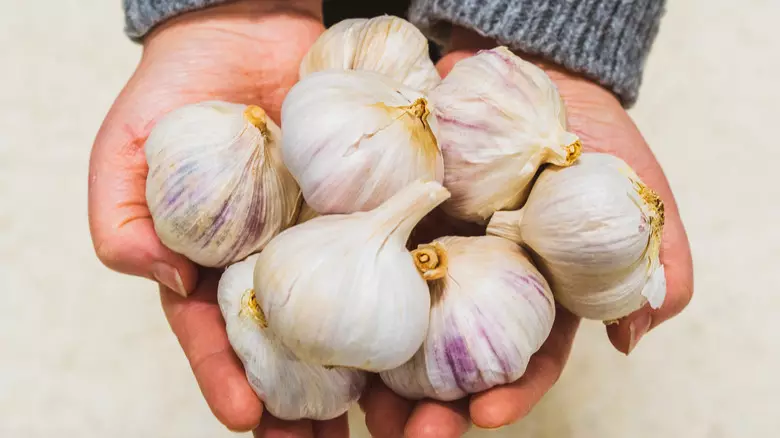 Cengkéh bawang bodas