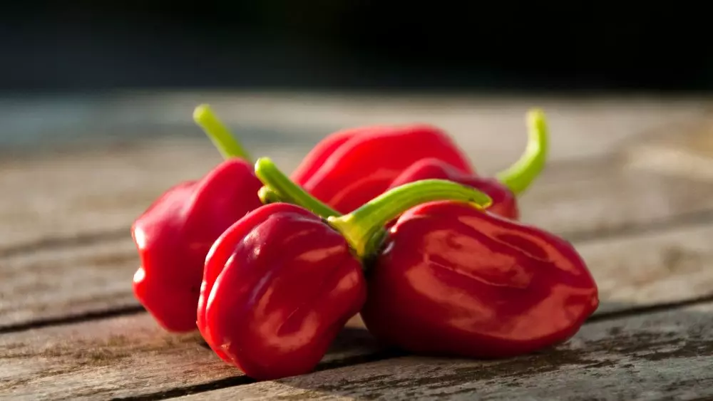 habanero በርበሬ