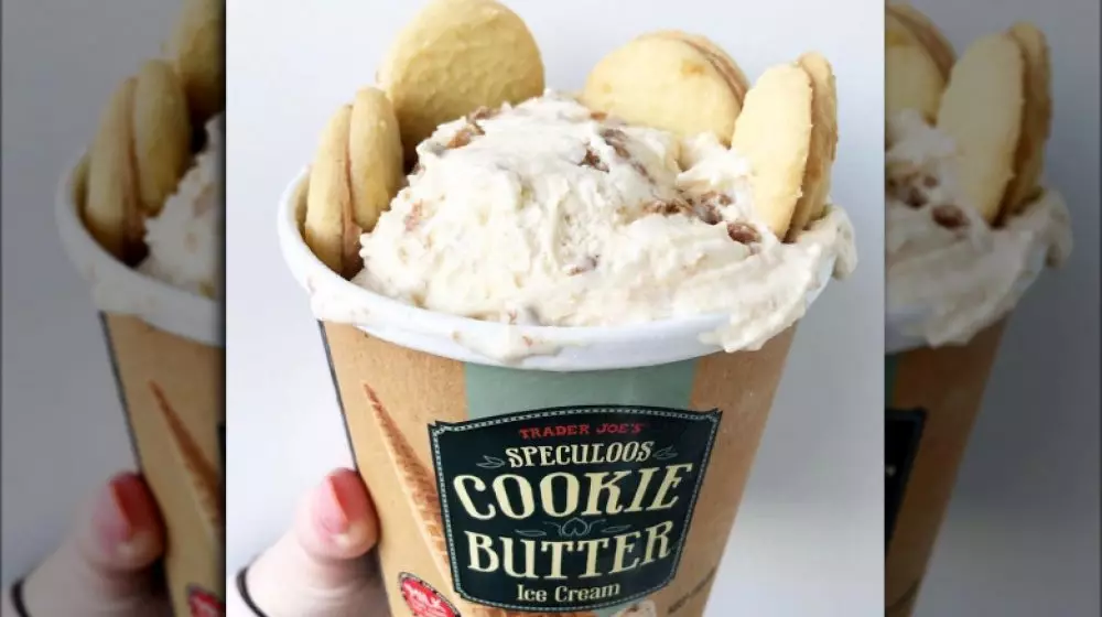 Trader Joe's Cookie Butter Ice Cream