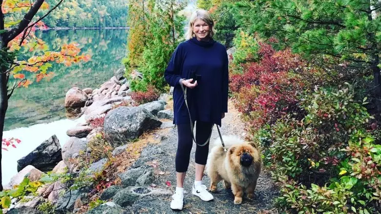 Martha Stewart và chú chó