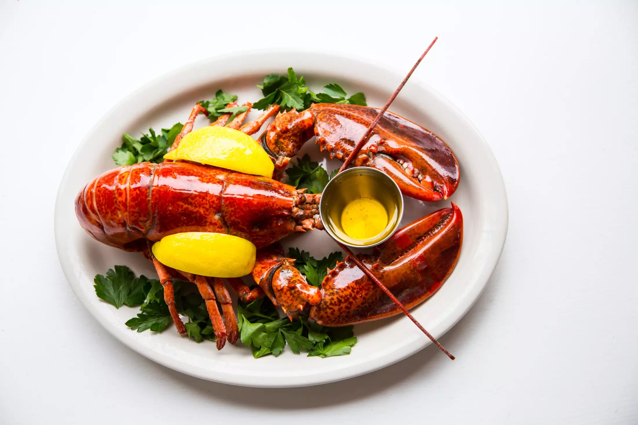 Otu esi esi nri Lobster zuru oke ụzọ anọ