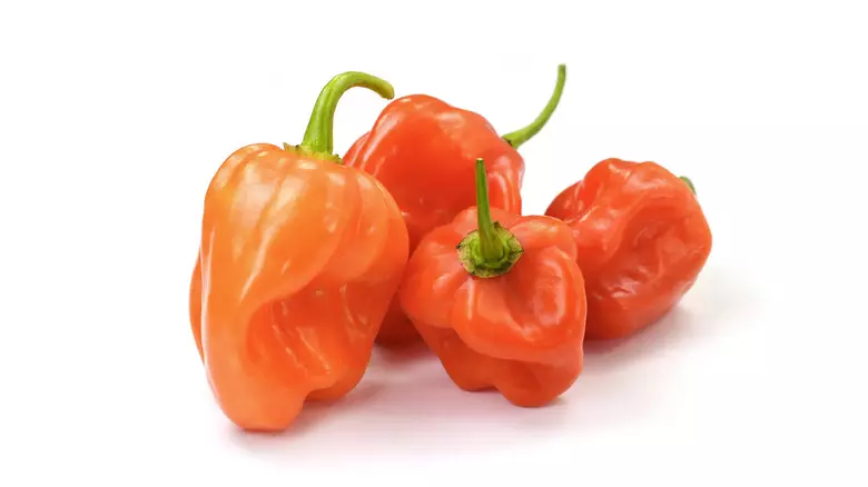 Oranje Habanero Peppers