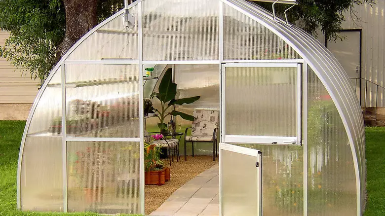 Riga XL Professional Greenhouse