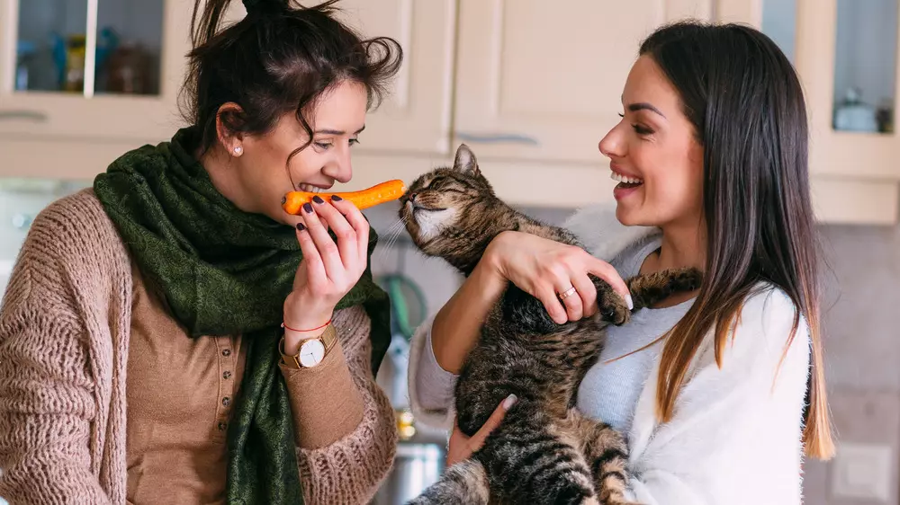 Wanita bermain dengan kucing di dapur mereka