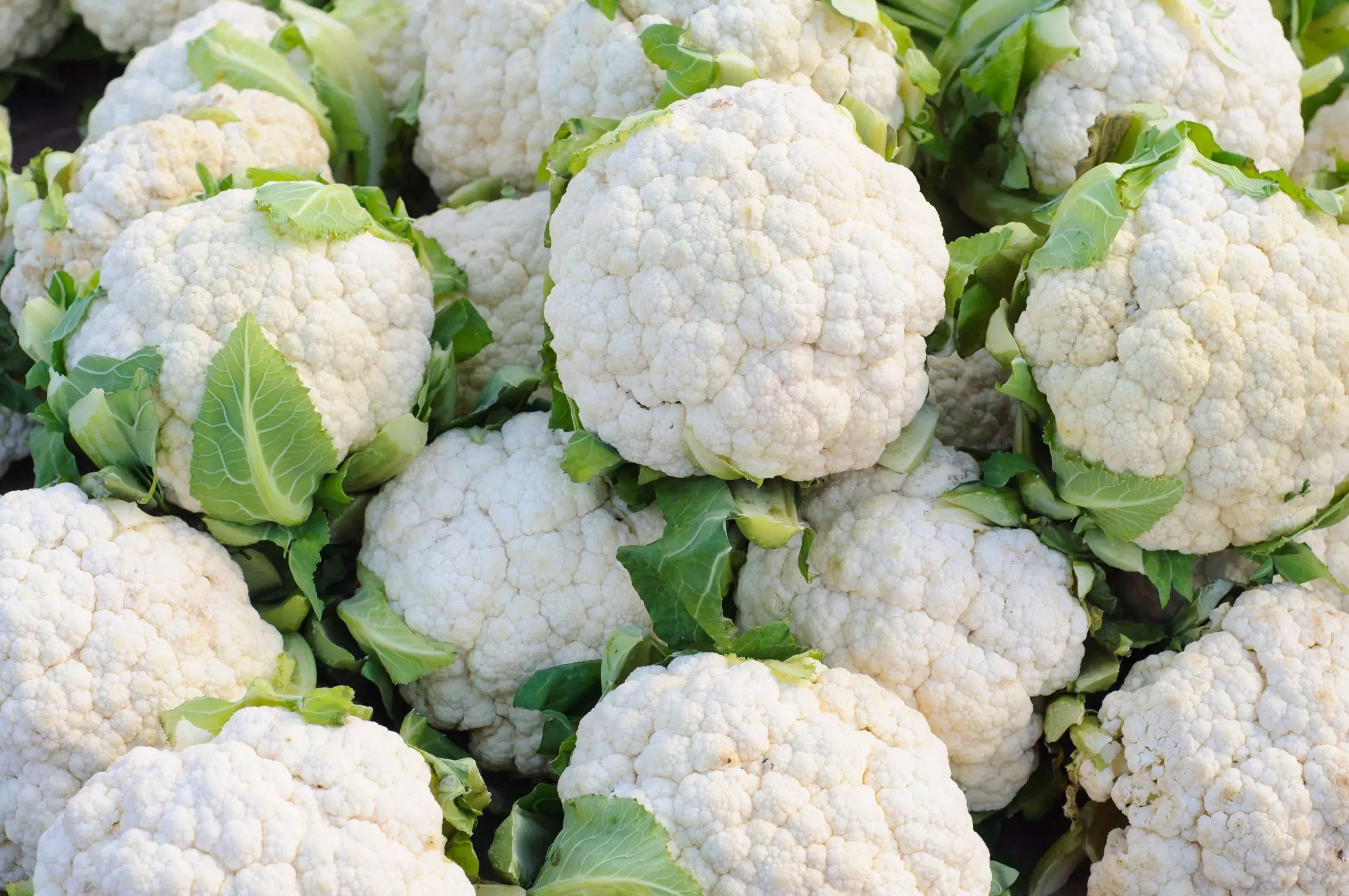 Yuav Ua Li Cas Master Cauliflower