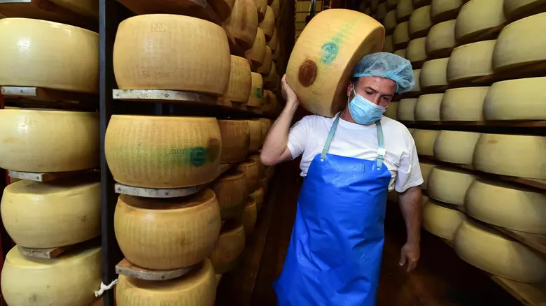 Cheese maker lugging rota tal-parmesan