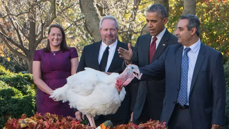 Den virkelige grund til, at vi spiser Tyrkiet på Thanksgiving 608_5