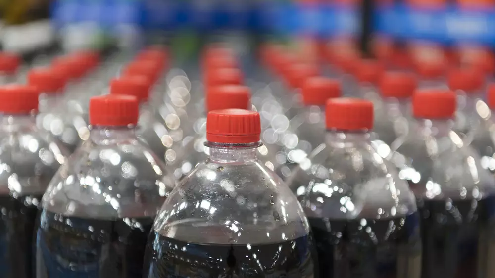 ¿Todas esas botellas de plástico de Coca-Cola? Sí, no son nada comparados con lo que hay detrás de la cámara. Un día, nos despertaremos y descubriremos que nosotros también somos botellas de plástico de Coca-Cola.