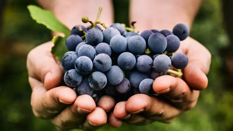 Alimentos que nunca debes poner en el microondas 6325_10