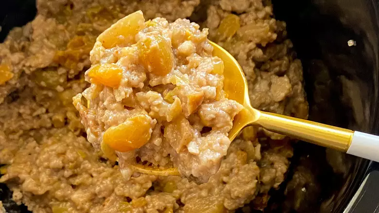 spoonful ye oatmeal yakagadzirira mu crockpot