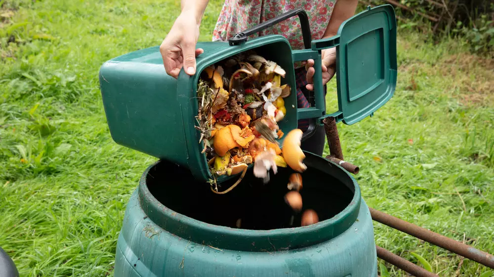 Otu nwanyị na-ebupu ihe mgbochi compost ime ụlọ n'ime nnukwu nnukwu efere dị n'èzí