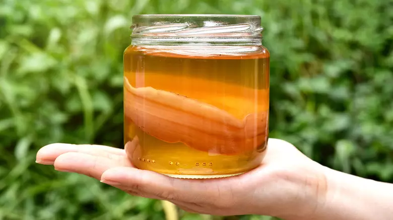 Nawiskeun jar kombucha