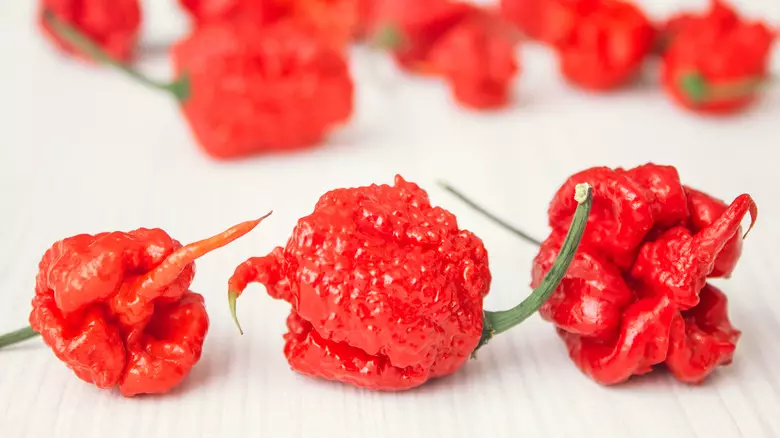 carolina reaper