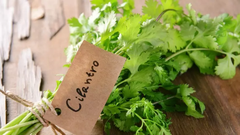 Benetako Arrazoia Jende askok Cilantro Gorrotoa 717_1