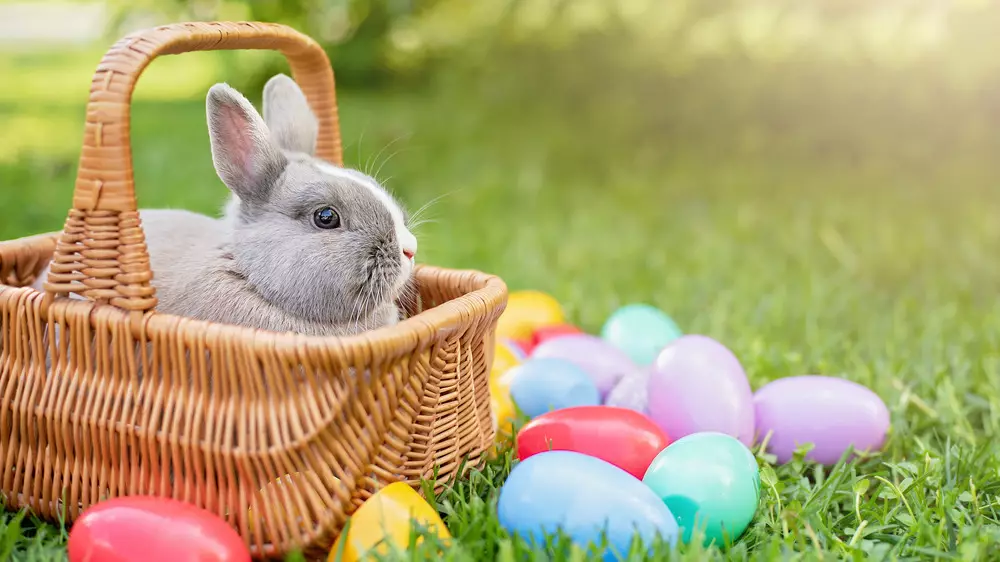 Uova di Pasqua e un coniglio in un cestino
