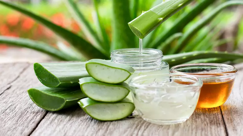 Planta de aloe vera, zume, marmelada e mel