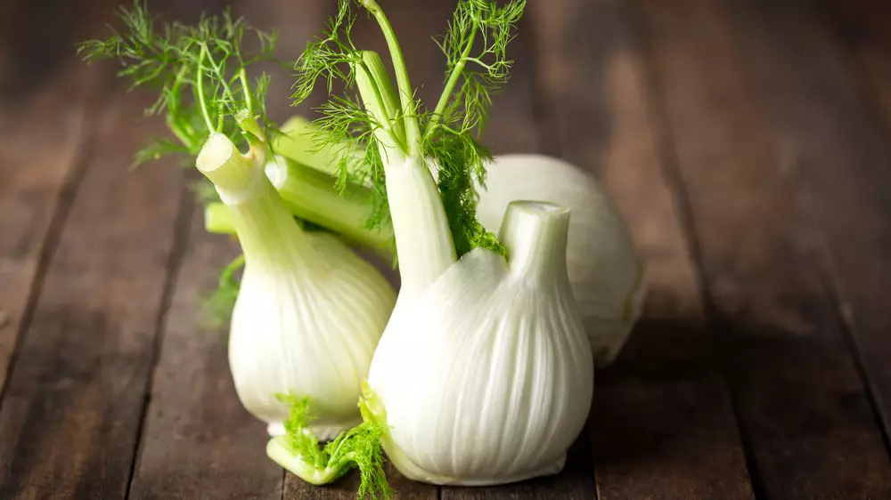 Самбар дээр Fennel булцуу