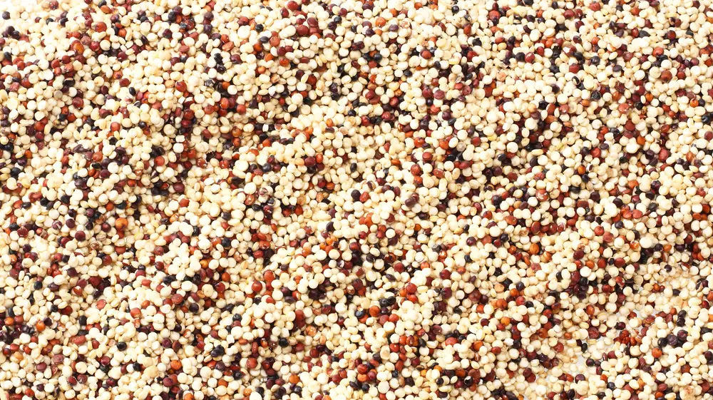 Kundi la quinoa kwenye meza