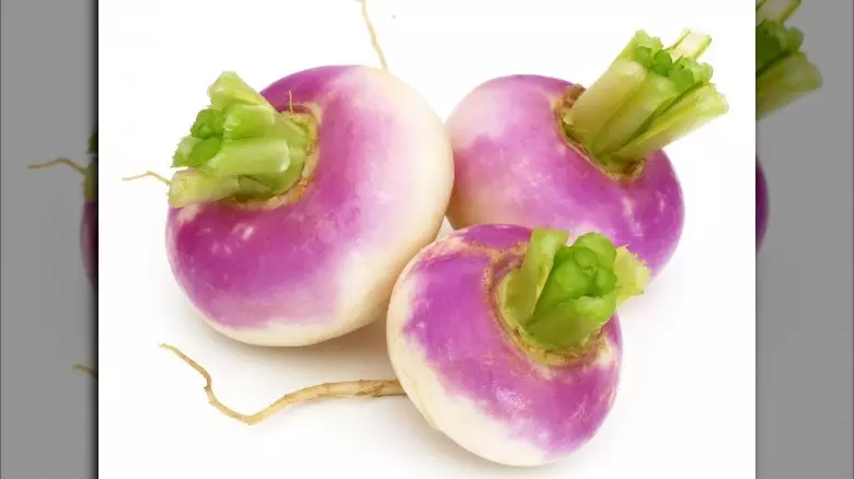 Turnips seger nutup-up