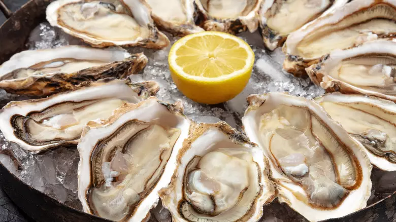 aise oysters