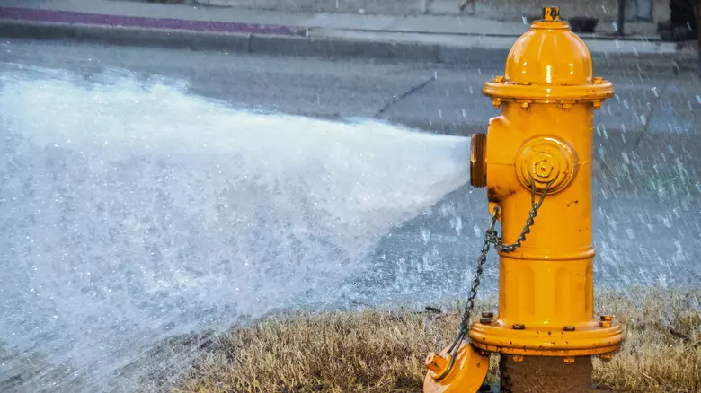 hydrant tryskający wodą