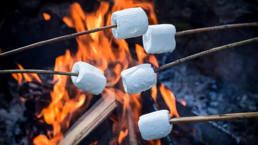 prăjirea marshmallows