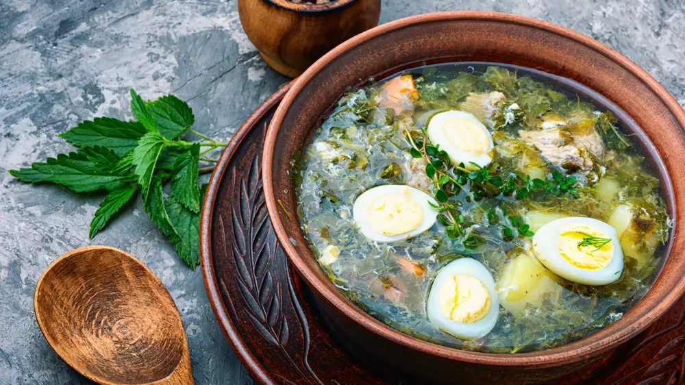 Bowl yegreen borscht